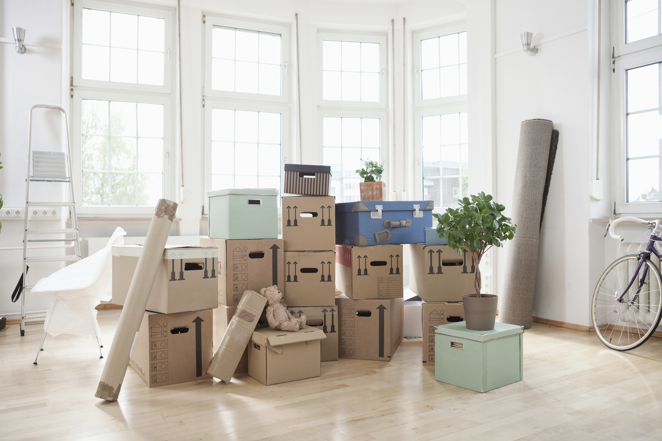 Maximize Space with Efficient Box Packing - The Habitat