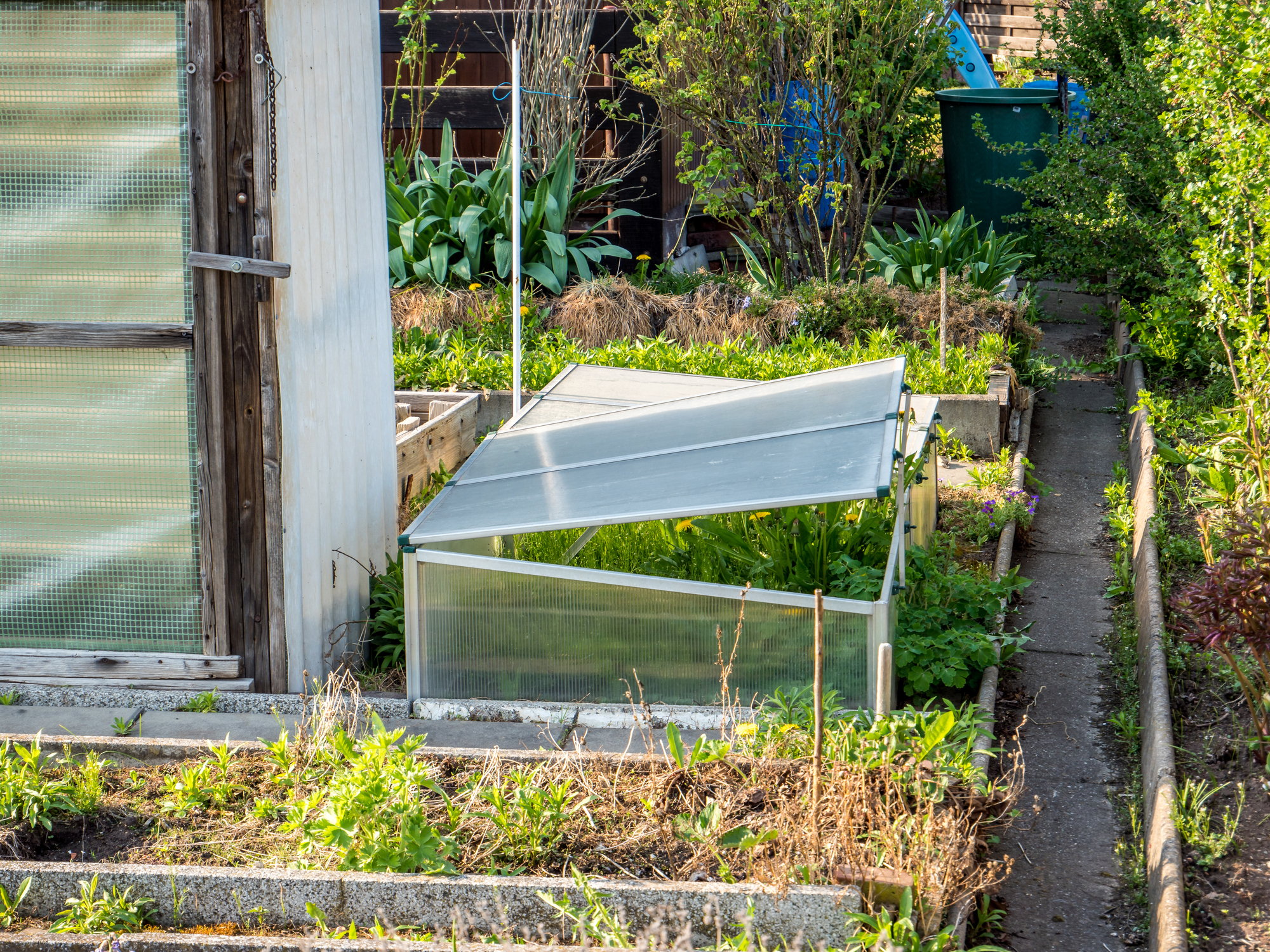 How To Use Cold Frames In Your Garden - The Habitat