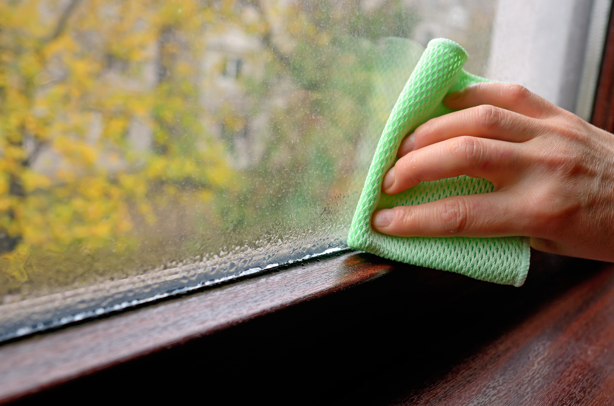 Tips For Fixing and Preventing Sweating Windows - The Habitat