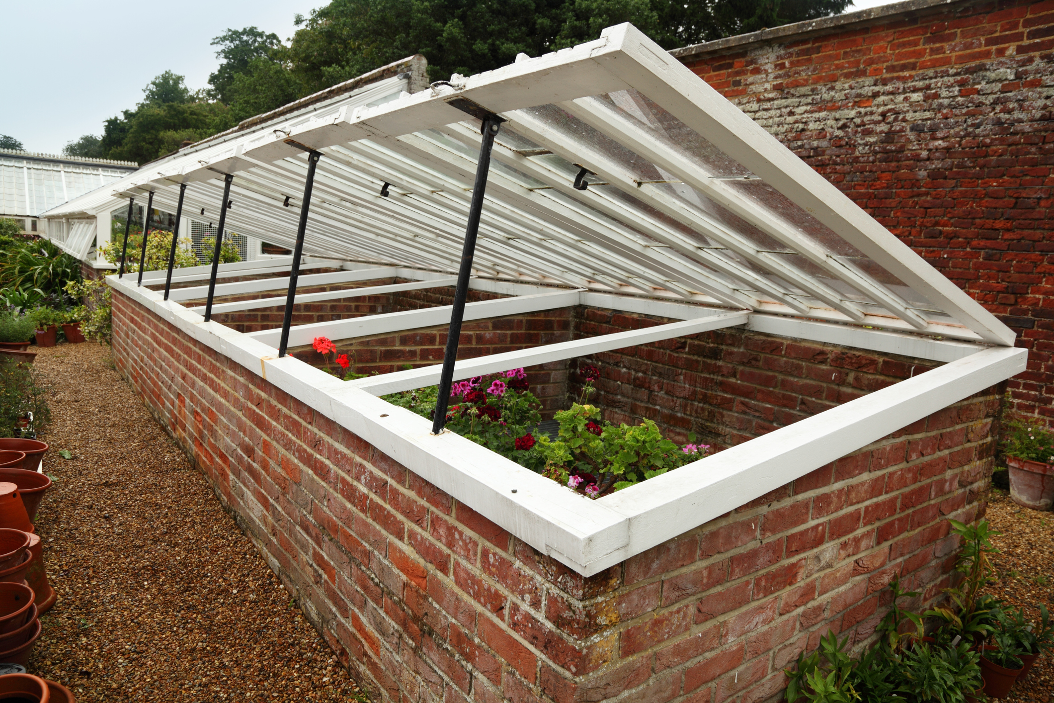 How To Use Cold Frames In Your Garden - The Habitat