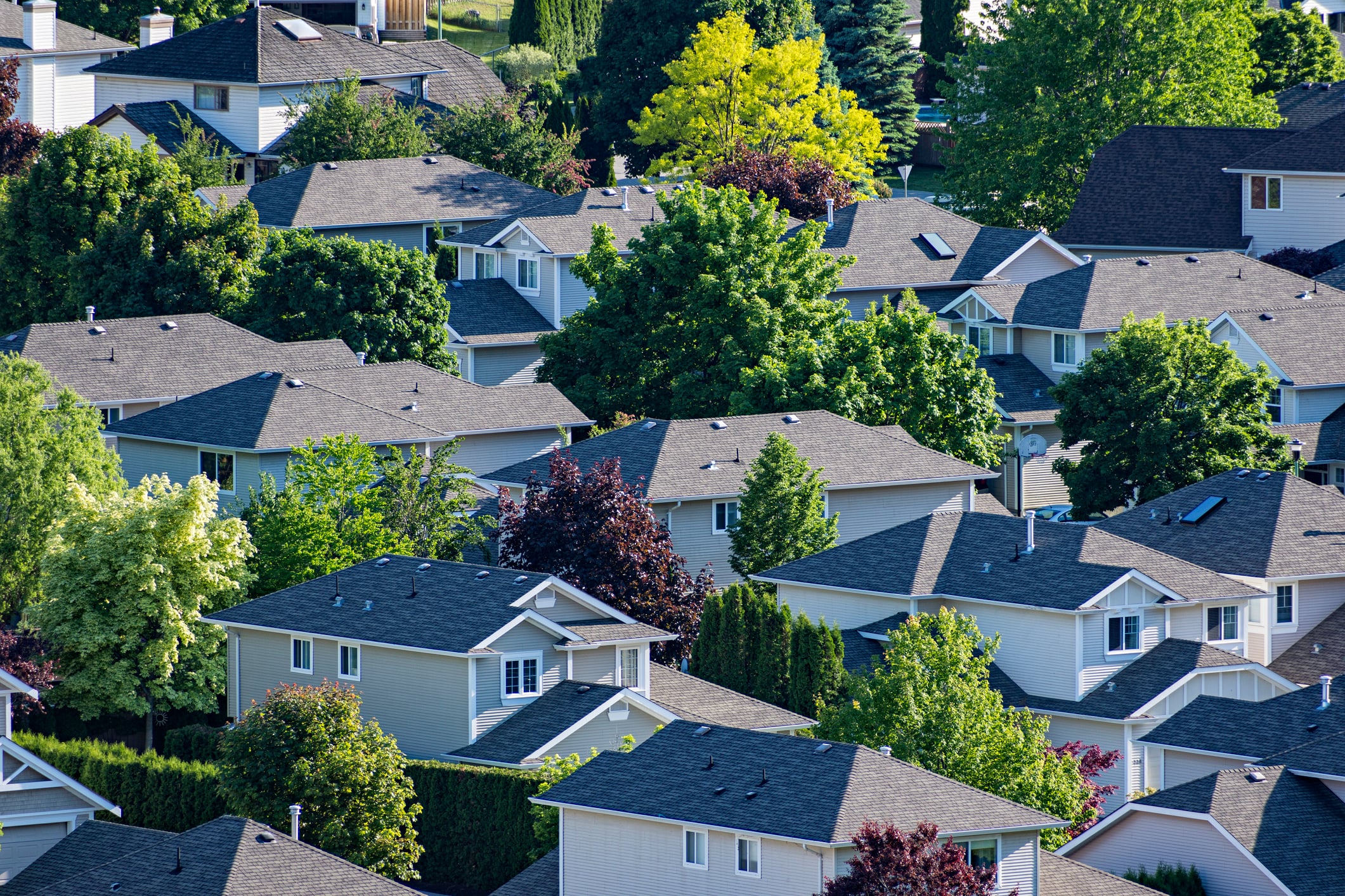 Find Affordable Housing: Tips to Bring Down Rent - The Habitat