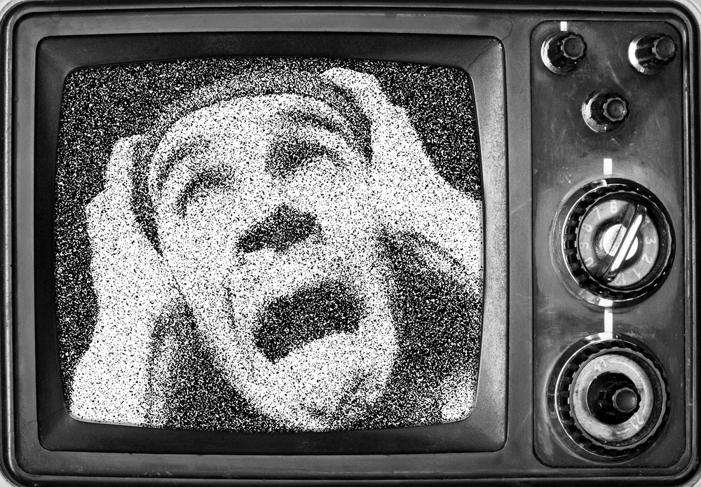 In-Depth Look at Award-Winning Films - The Habitat