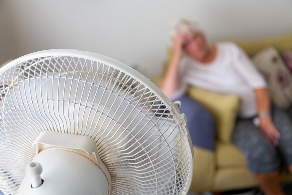 Eco-friendly and Affordable Cooling Options for the Summer - The Habitat