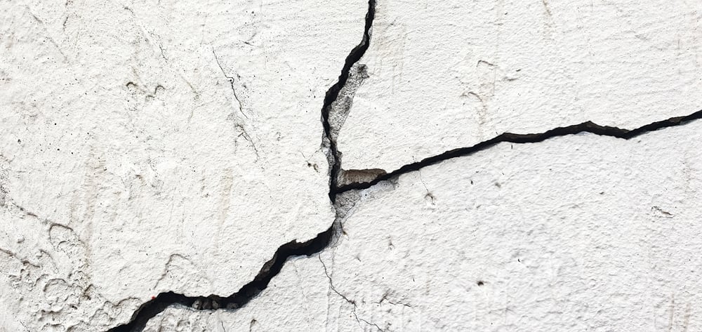 How to Get Rid of Earwigs - The Habitat